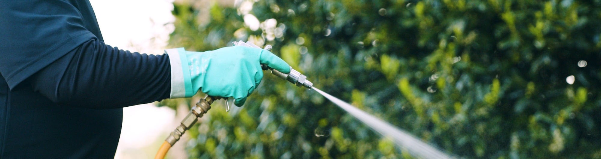 Lawn Care 101: How to Maintain a Healthy Lawn - Barefoot Lawn Care